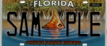 How License Plate Recognition Works: Algorithm, Cameras